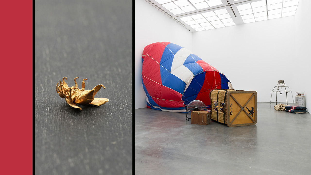 3x Museumtips van directeur Marieke Uildriks | AVROTROS