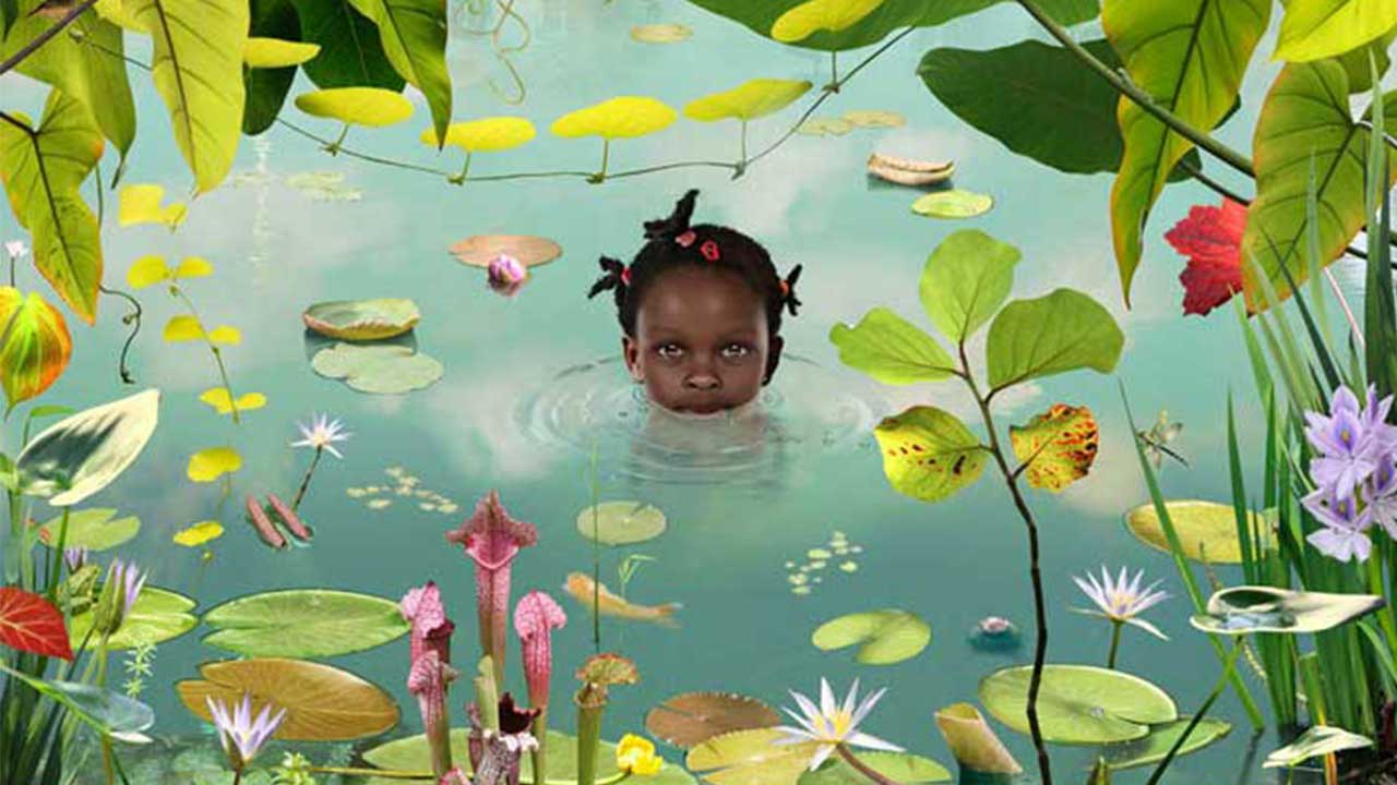 5 x bijzondere collagekunst | AVROTROS