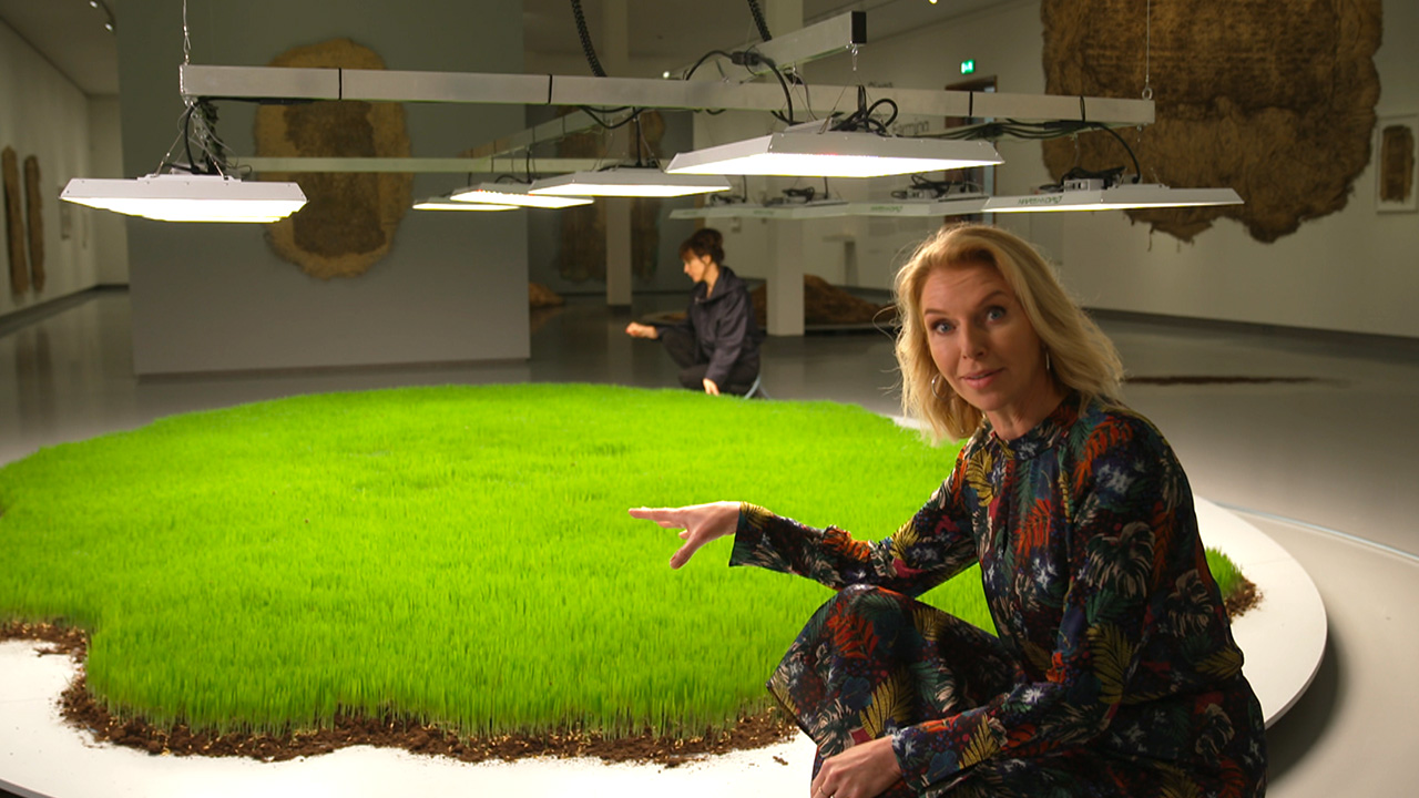 Diana Scherer: kunstenaar en wortelmagiër in Museum Kranenburgh | AVROTROS