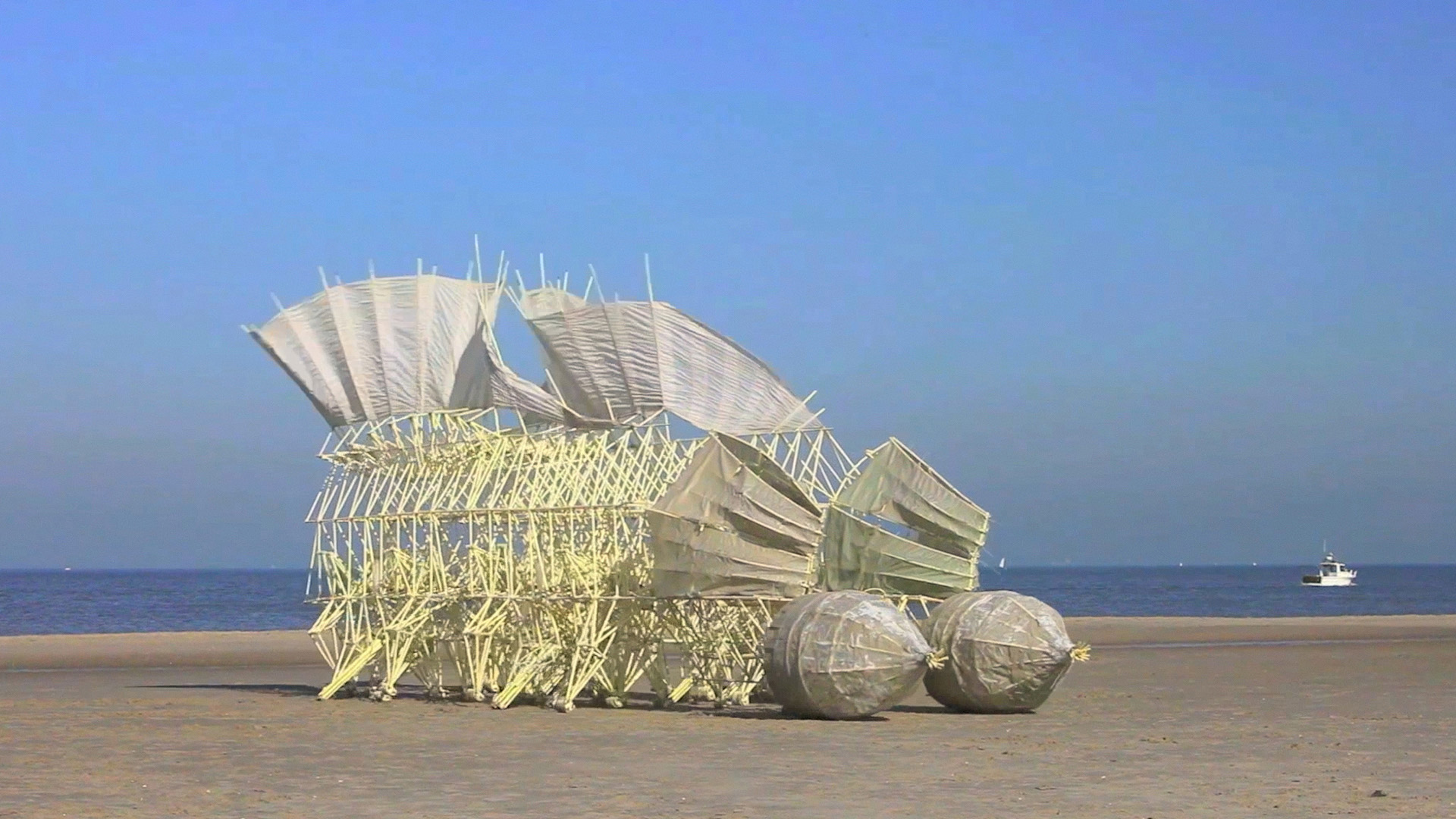 De strandbeesten van Theo Jansen | AVROTROS